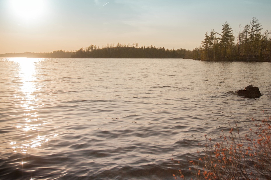 BWCA Morning Birds – Minnesota, USA « The Touch of Sound