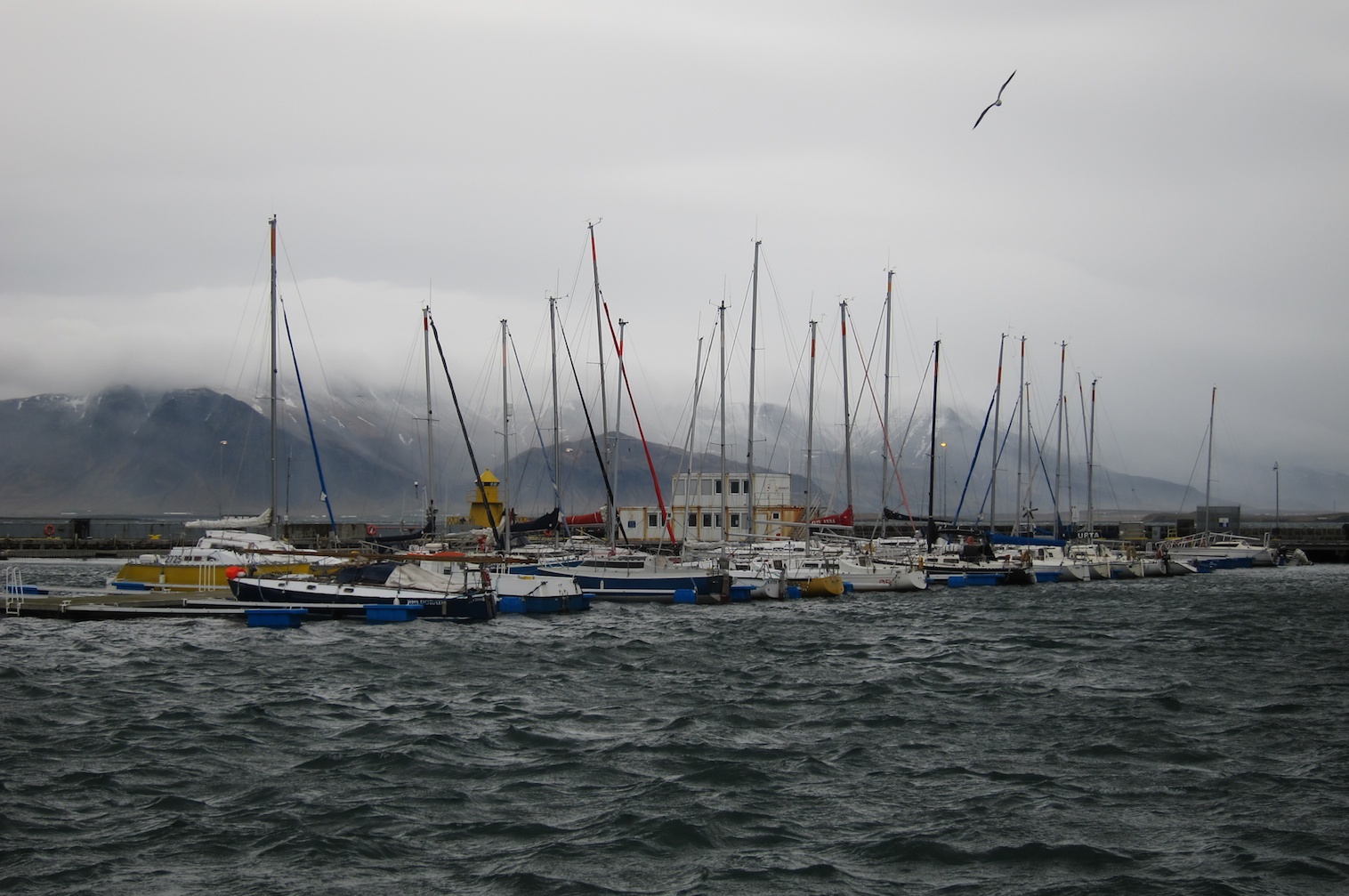 Windy Harbor – Reykjavík, Iceland « The Touch of Sound